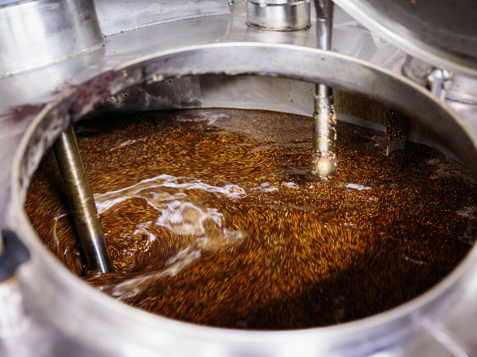 Sinappi syntyy siemenestä | Yhteishyvä