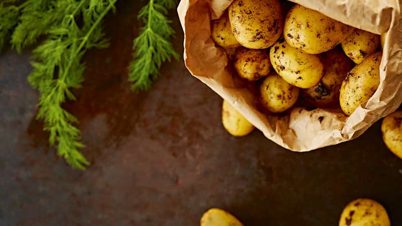 Peruna on paras! Helpot vinkit ja reseptit perunasta | Yhteishyvä