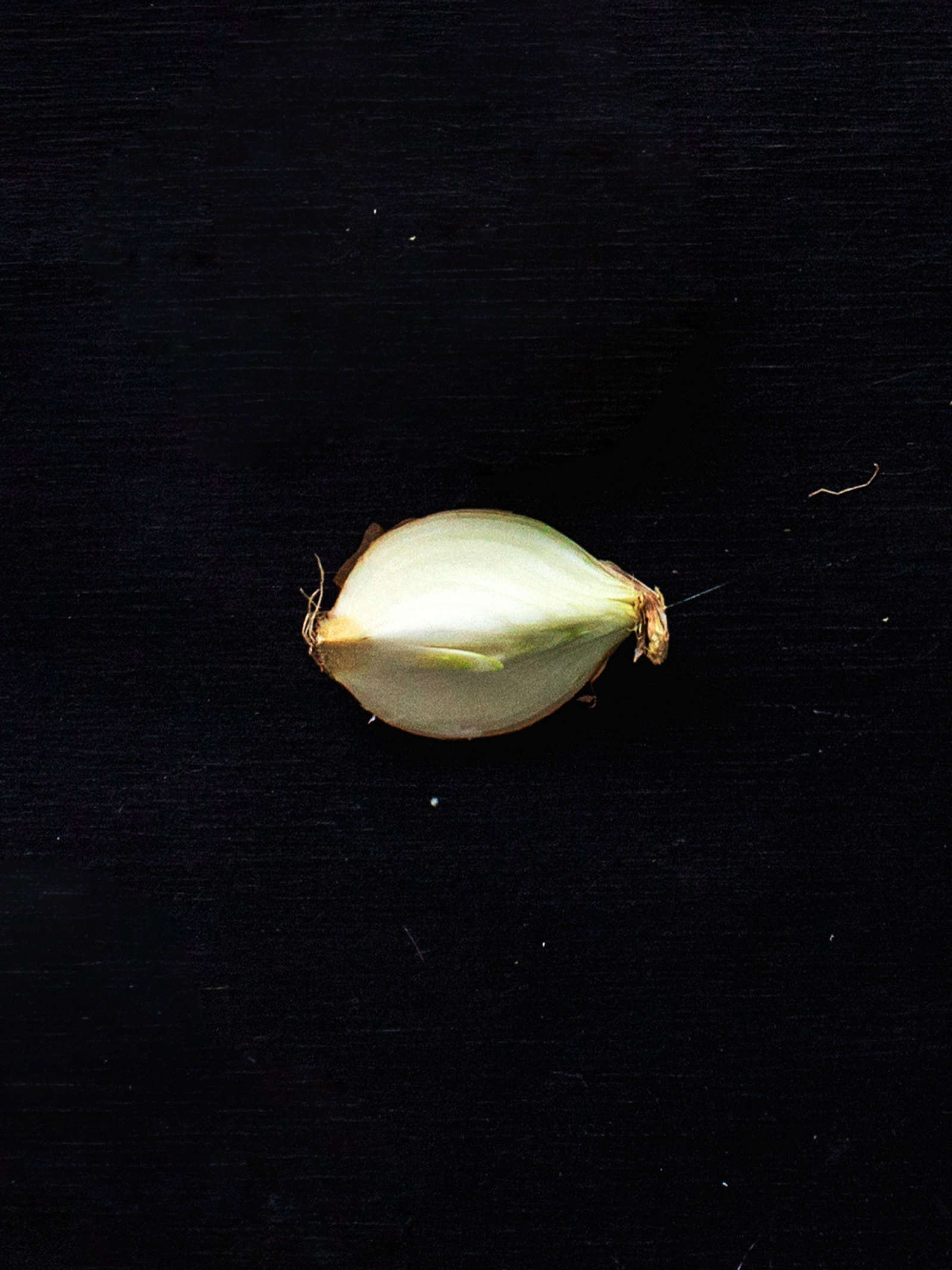 Erilaiset sipulit vertailussa | Yhteishyvä