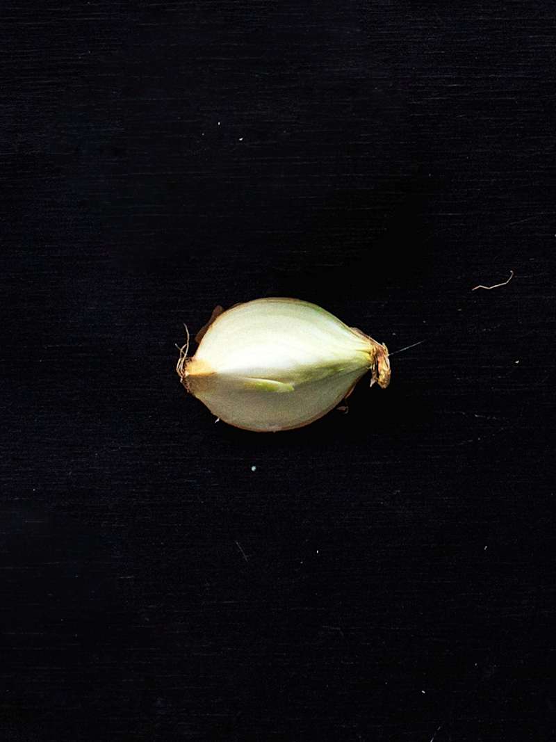 Erilaiset sipulit vertailussa | Yhteishyvä