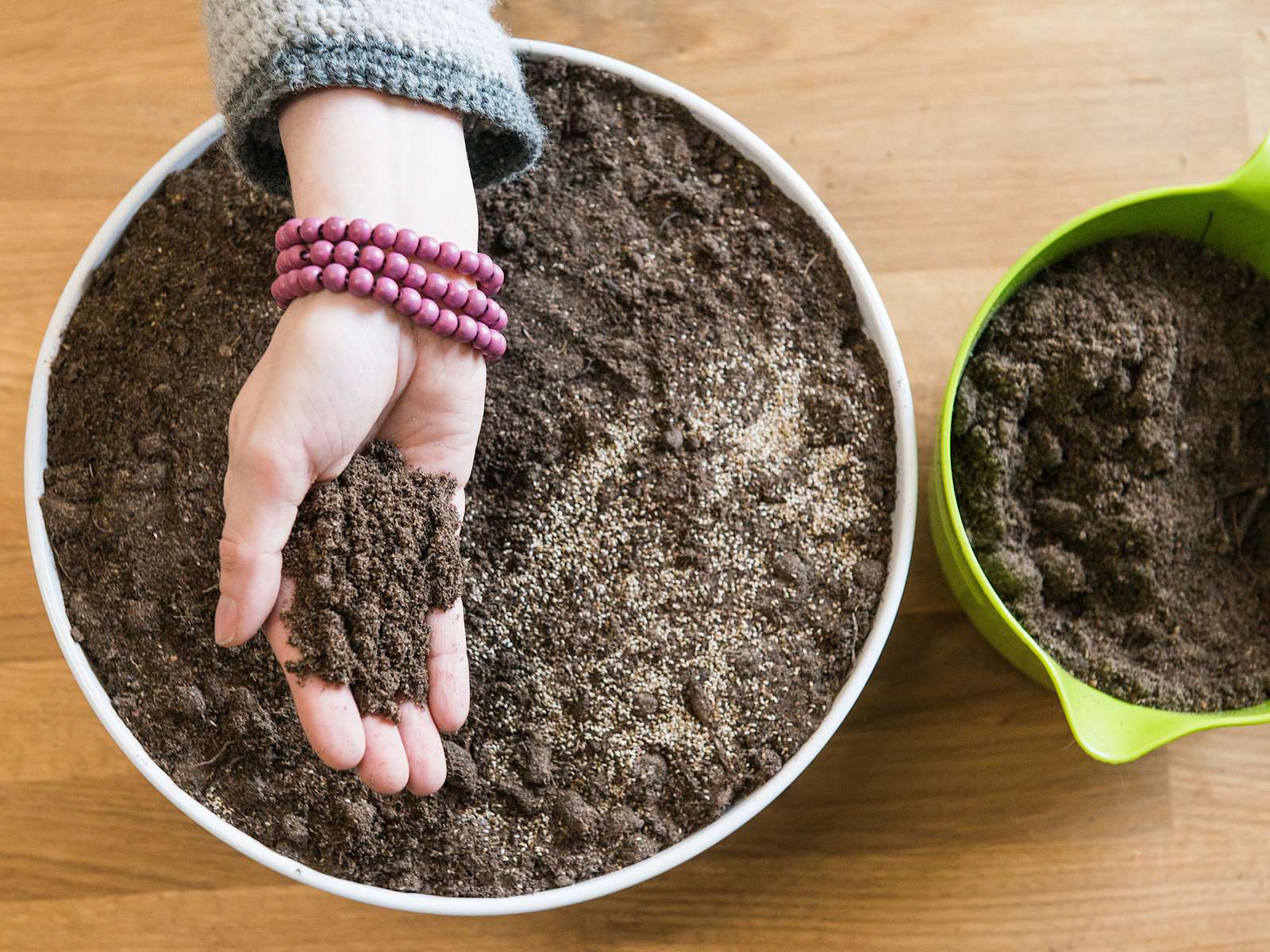 Kasvata rairuoho pääsiäiseksi | Yhteishyvä