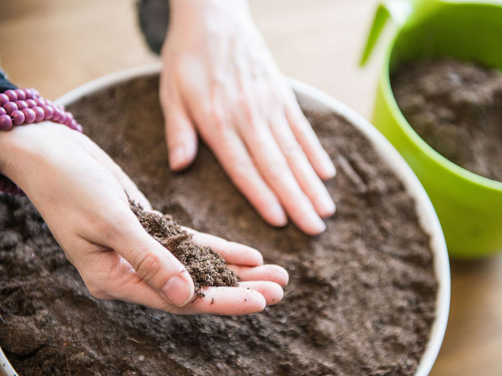 Kasvata rairuoho pääsiäiseksi | Yhteishyvä