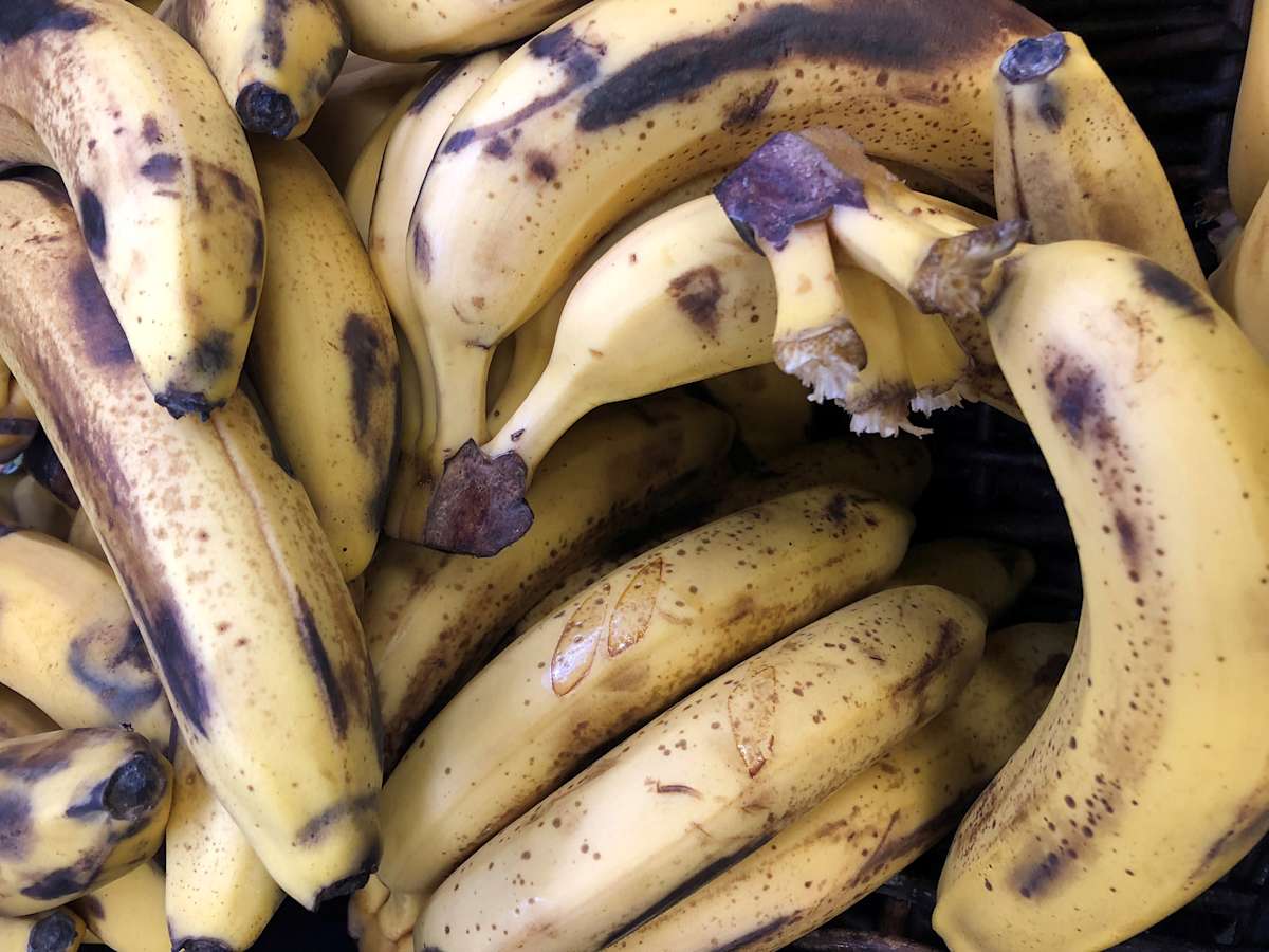 Pelasta tummuneet banaanit! Näillä vinkeillä hyödynnät ylikypsät ...