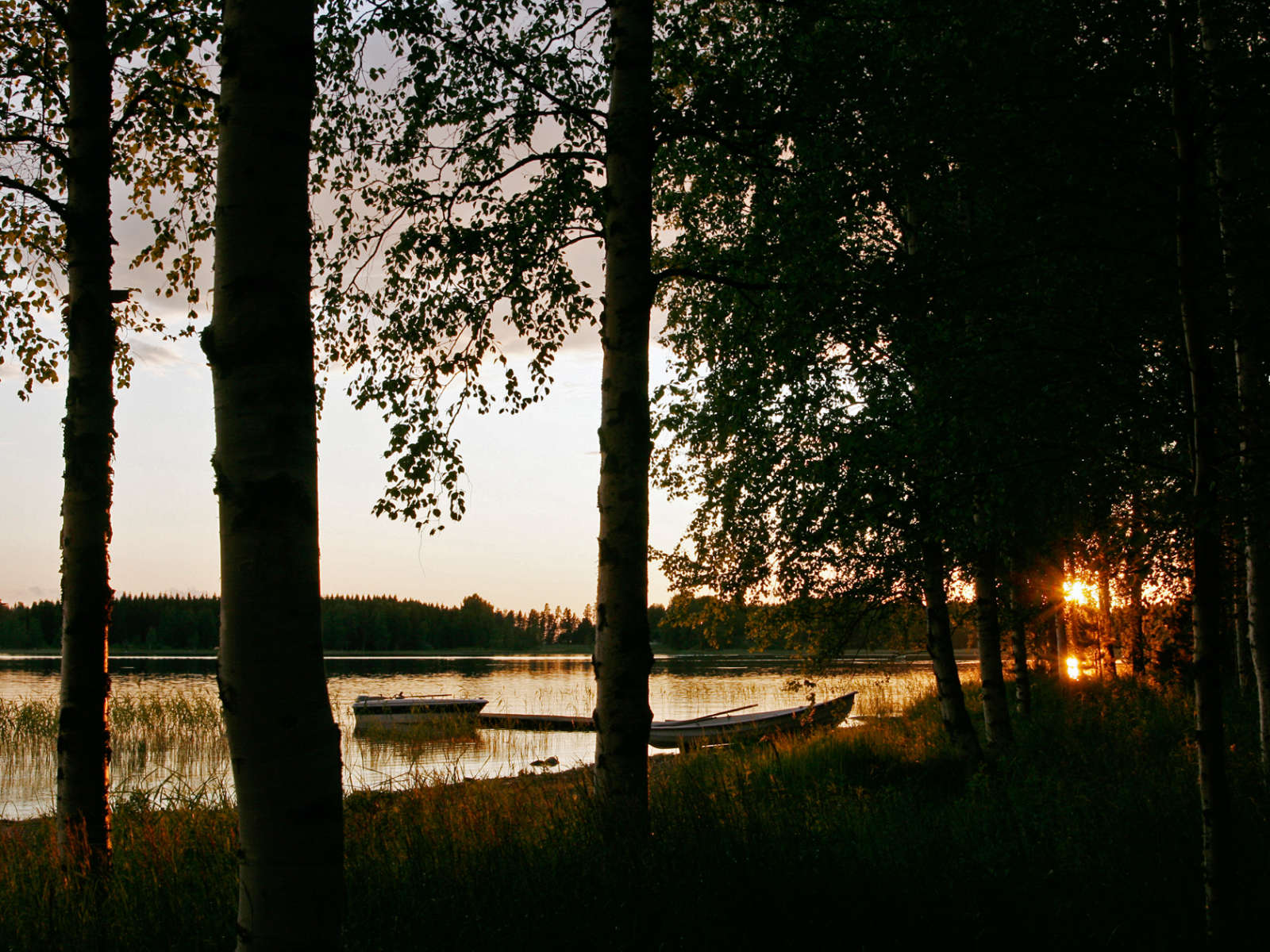 Luontokuvausopas | Yhteishyvä