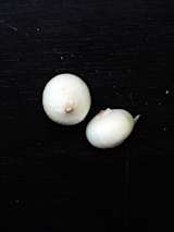 Erilaiset sipulit vertailussa | Yhteishyvä