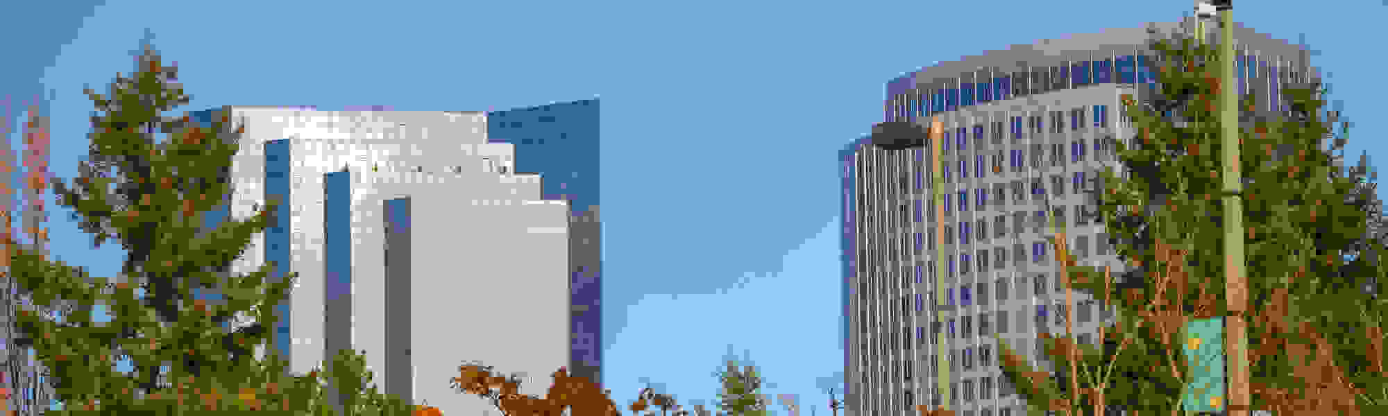 Tech support service in Redmond, Washington | HelloTech