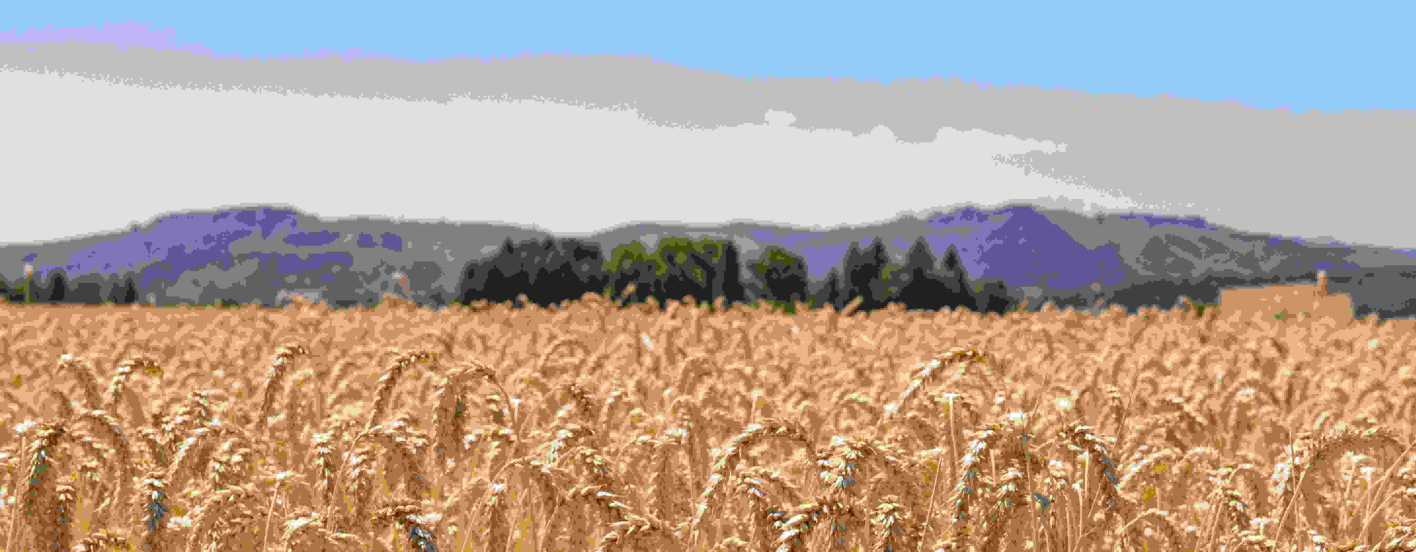 Nationwide Tech Support Service | HelloTech