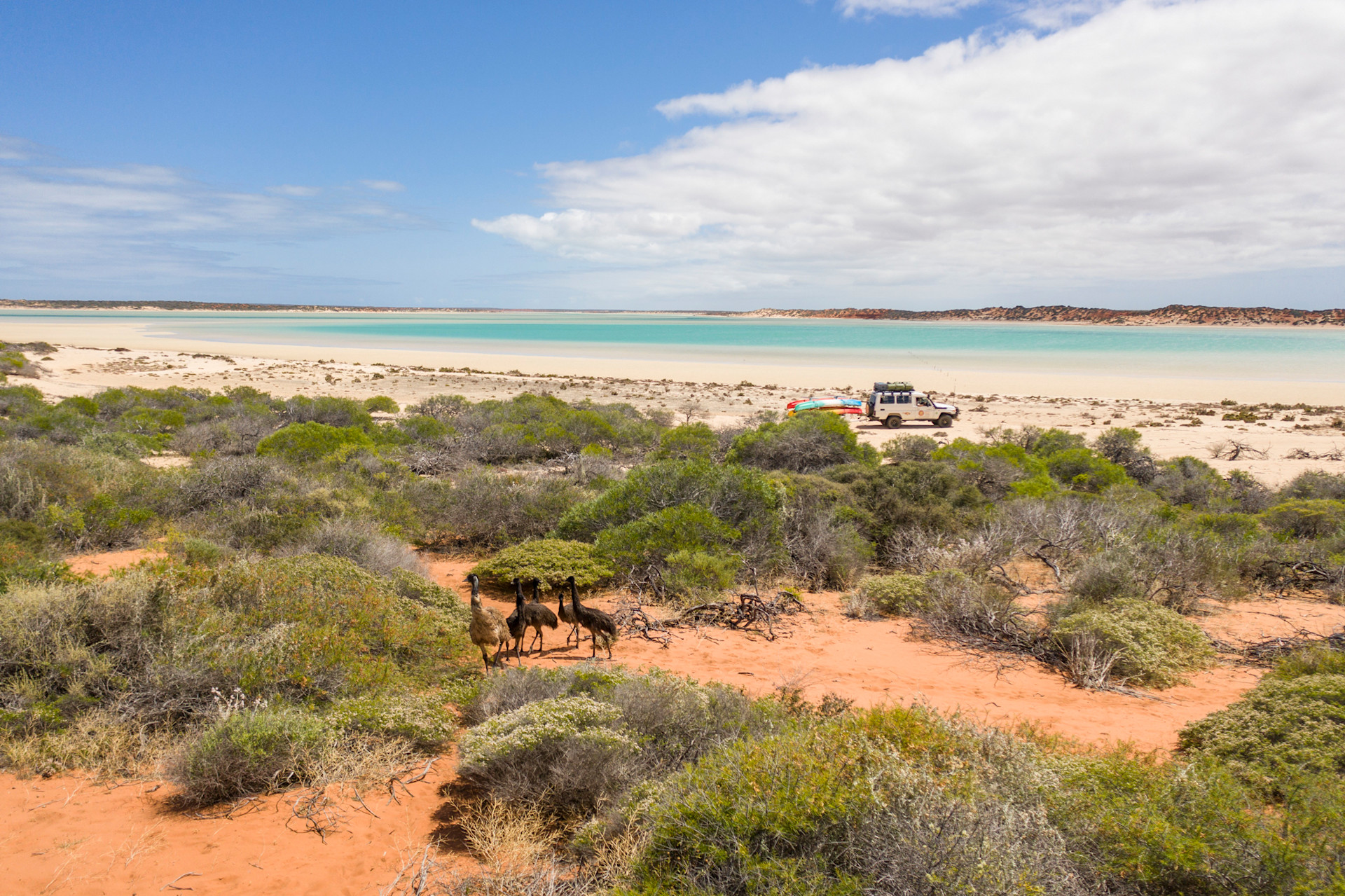 Look, listen, smell: How to really explore World Heritage-listed Shark Bay