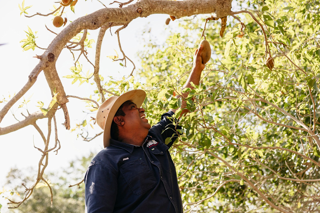 Discover Aboriginal Experiences launches 4 member case studies on ...