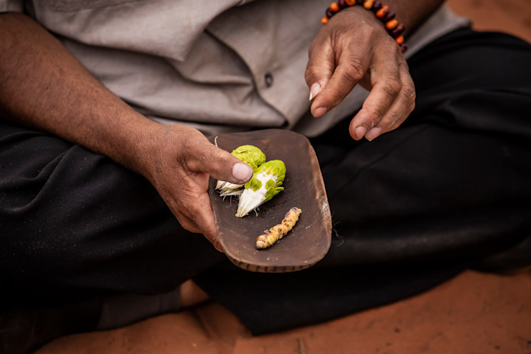 Traditional Aboriginal Healing: The Ancient Art of Wellness