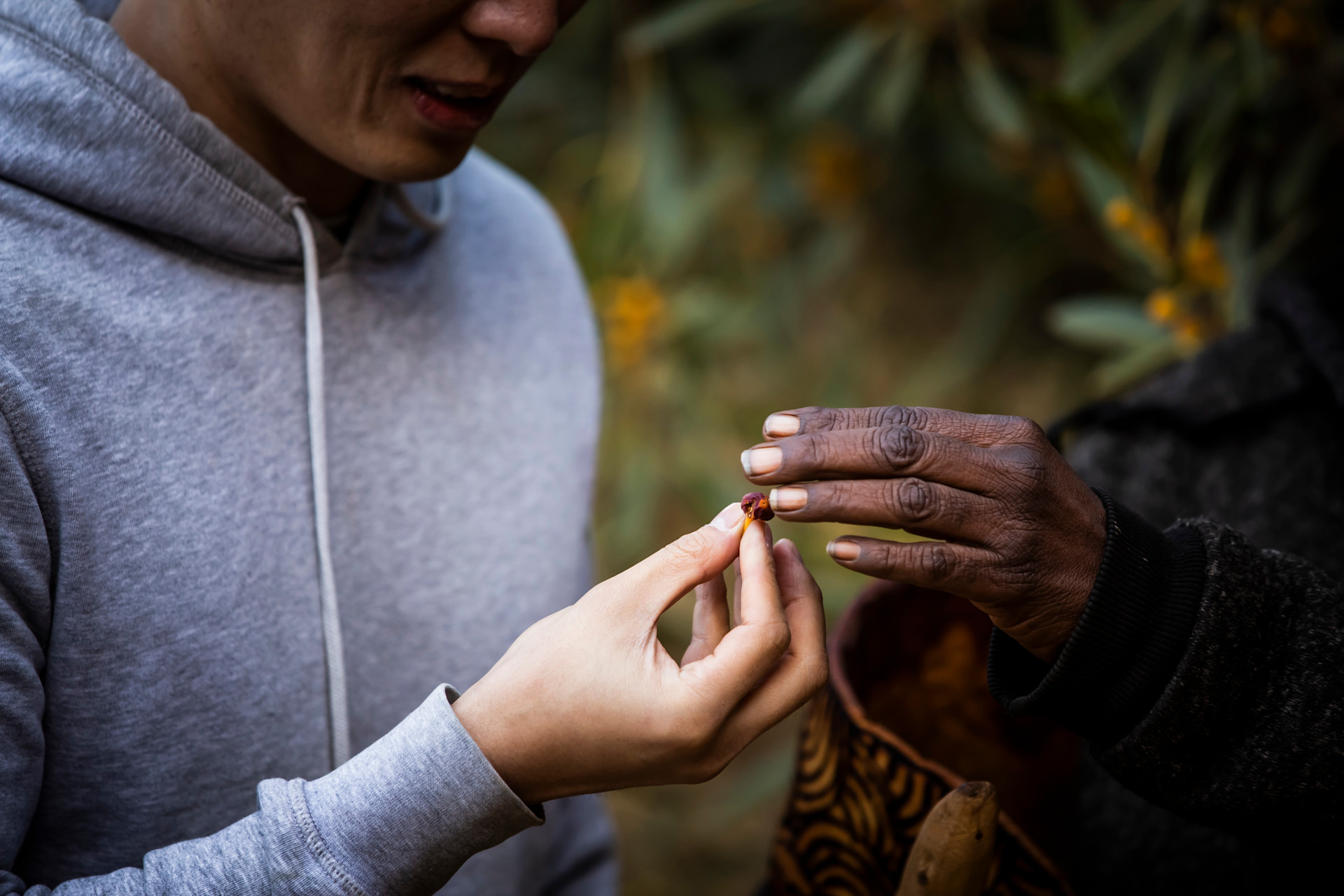 Traditional Aboriginal Healing: The Ancient Art of Wellness
