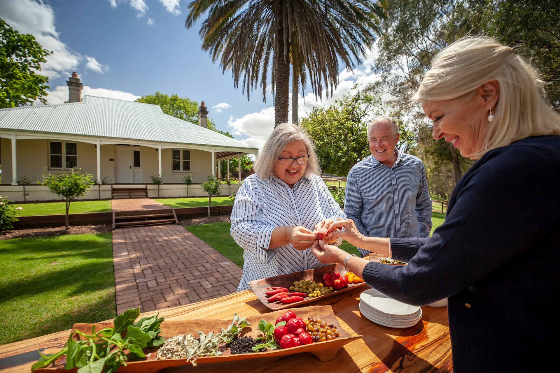 Dale Tilbrook - Dale Tilbrook Experiences