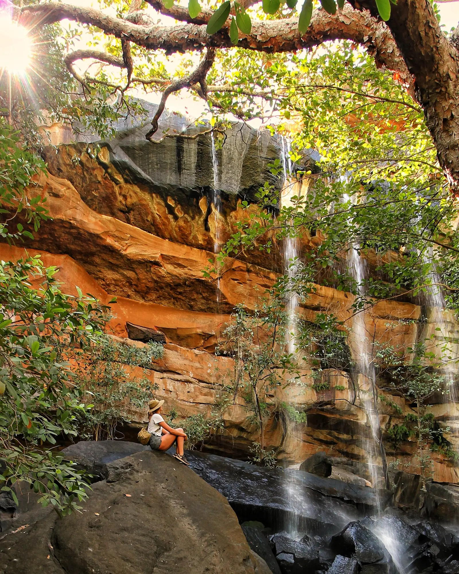 Nature & Wildlife Experiences