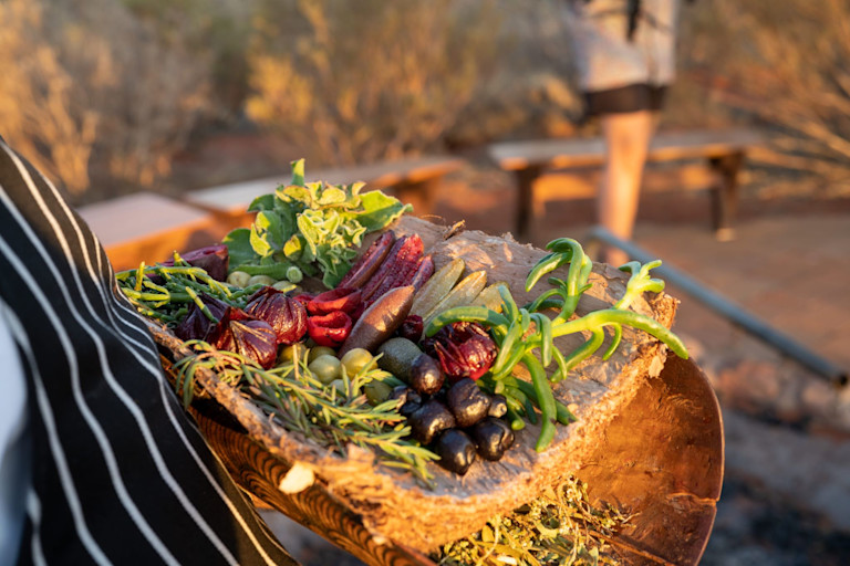 Guide to the Kakadu plum in Aboriginal cultures