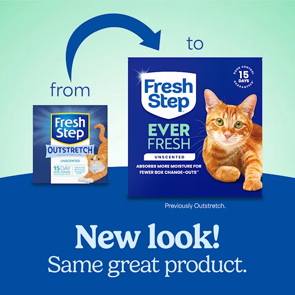 Fresh Step™ Ever Fresh Unscented Clumping Cat Litter - Low Dust