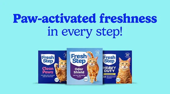 Fresh Step™ Cat Litter - Odor Control for a Cleaner Litter Box | Fresh ...