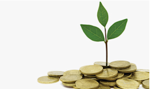 Economics AS & A Level 9708 Cambridge international