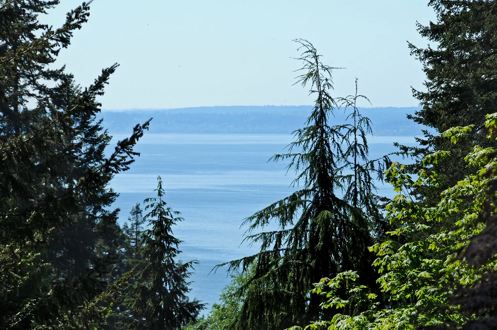 21 Northwest Cherry Loop, Seattle, Washington 98177 | Concierge Auctions