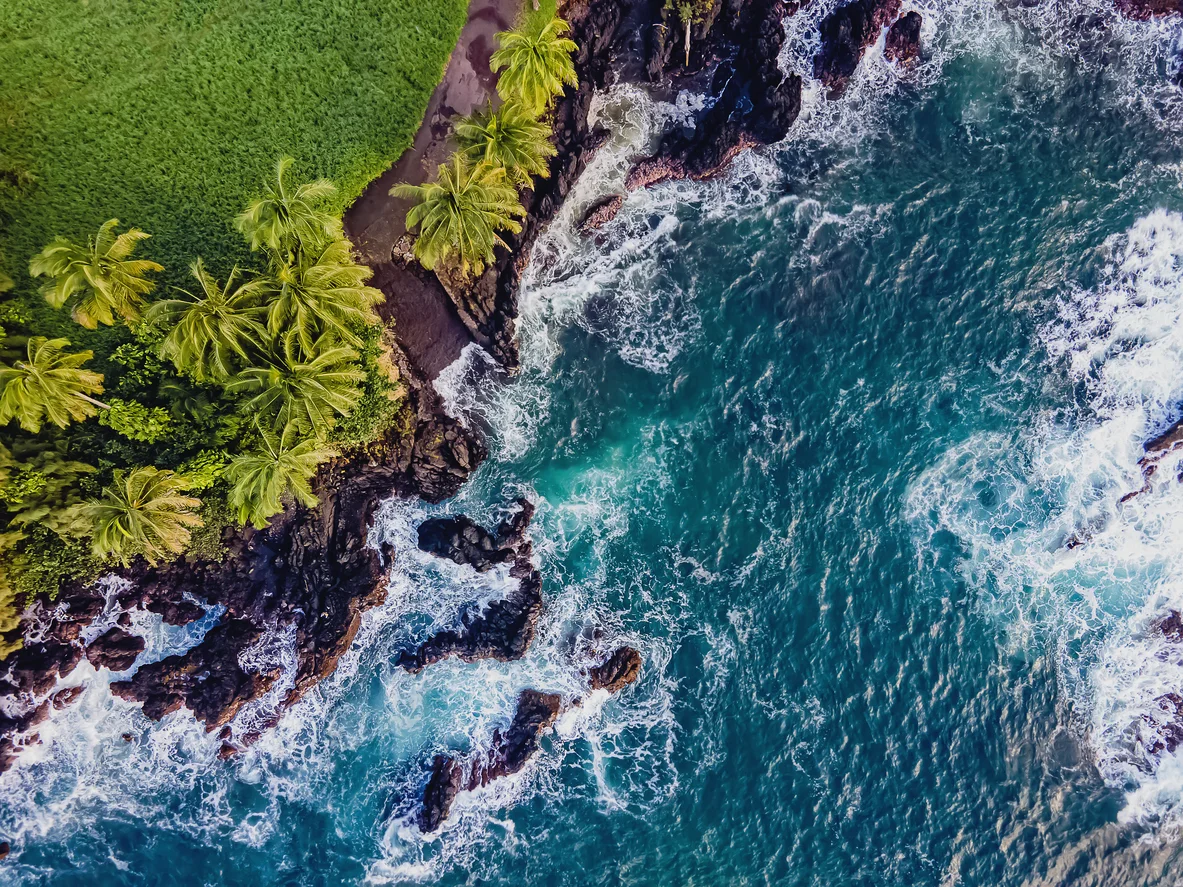 Hawaii Spring Season Sale | Concierge Auctions