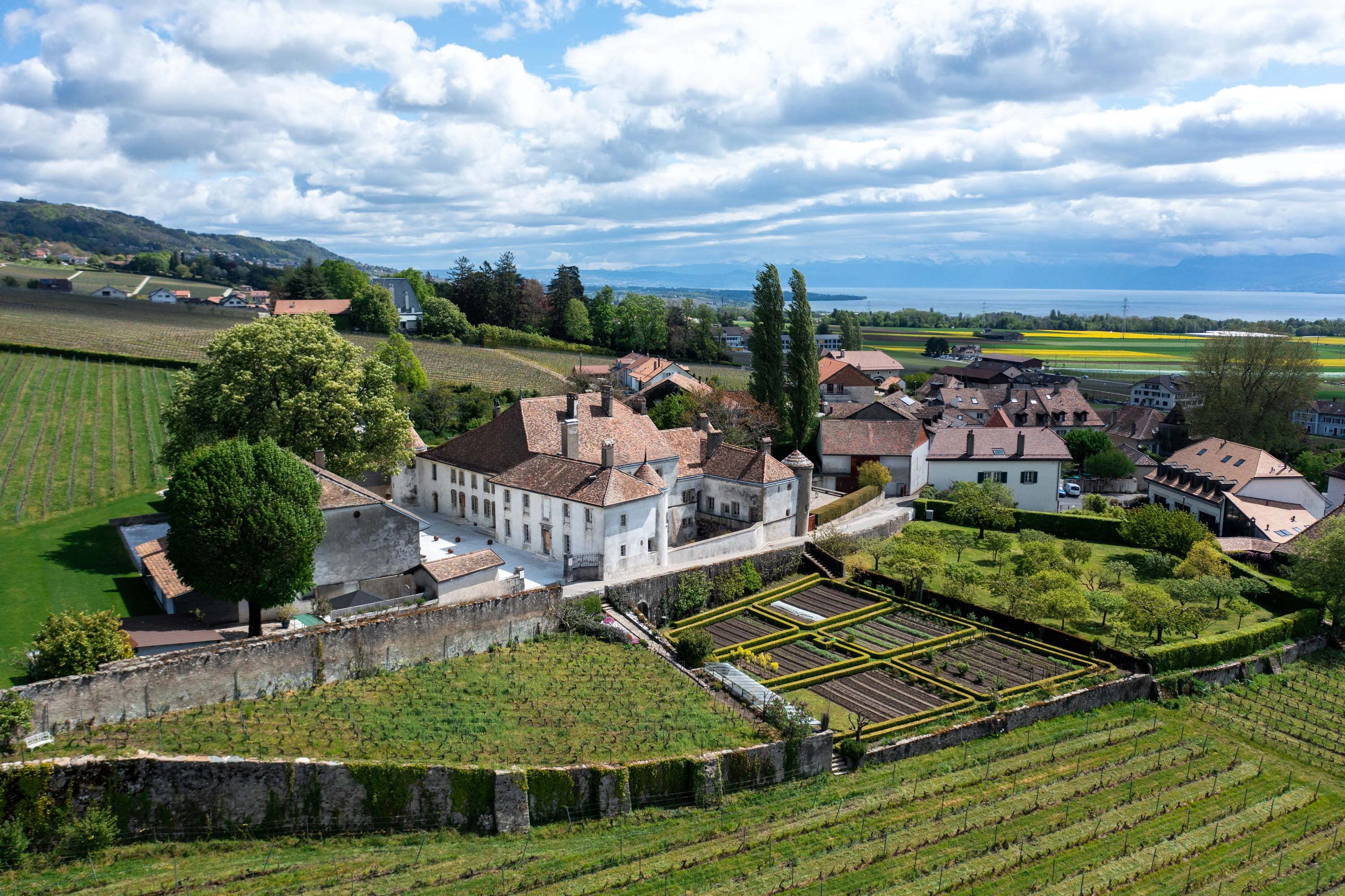 Fully-Restored Swiss Château, Vineyard, & Winery to Auction No Reserve ...