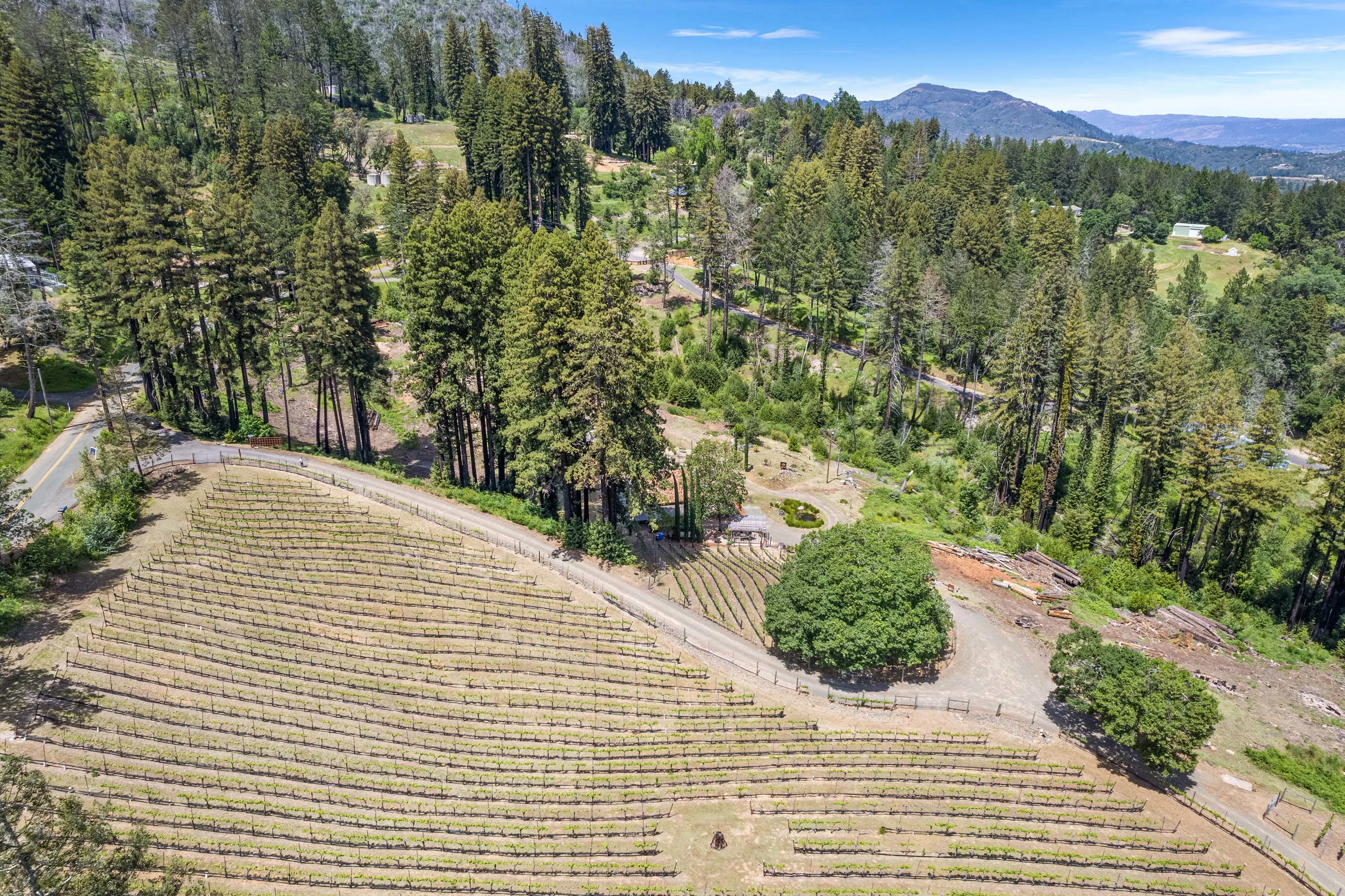 3390 Mount Veeder Road, Mount Veeder, Napa Valley, California 94558 ...