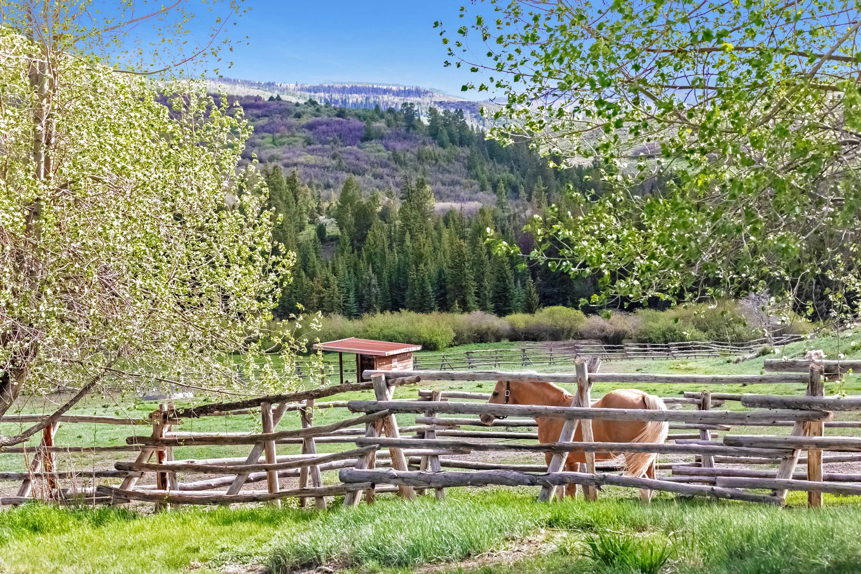 Salt Creek Ranch | 3758 Salt Creek Road, Eagle, Vail Area, Colorado ...