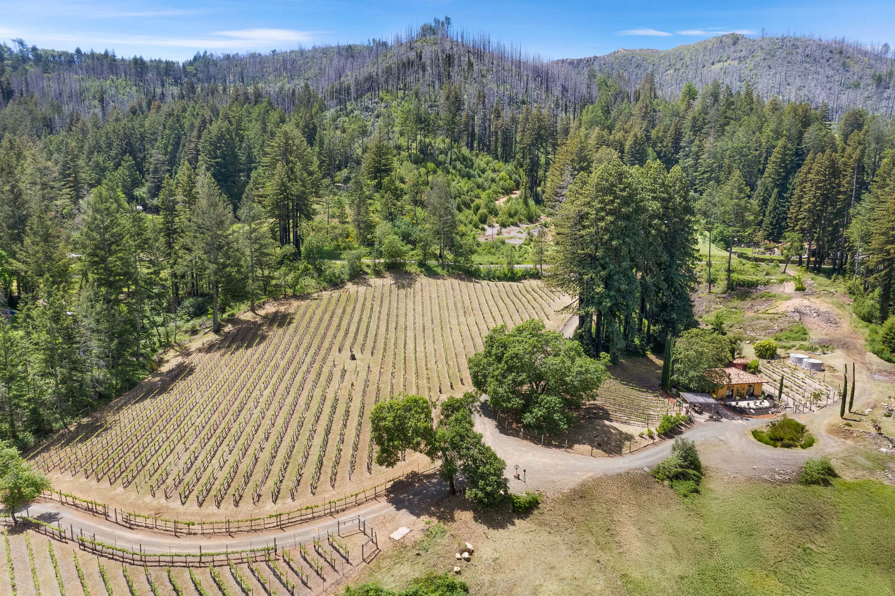 3390 Mount Veeder Road, Mount Veeder, Napa Valley, California 94558 ...