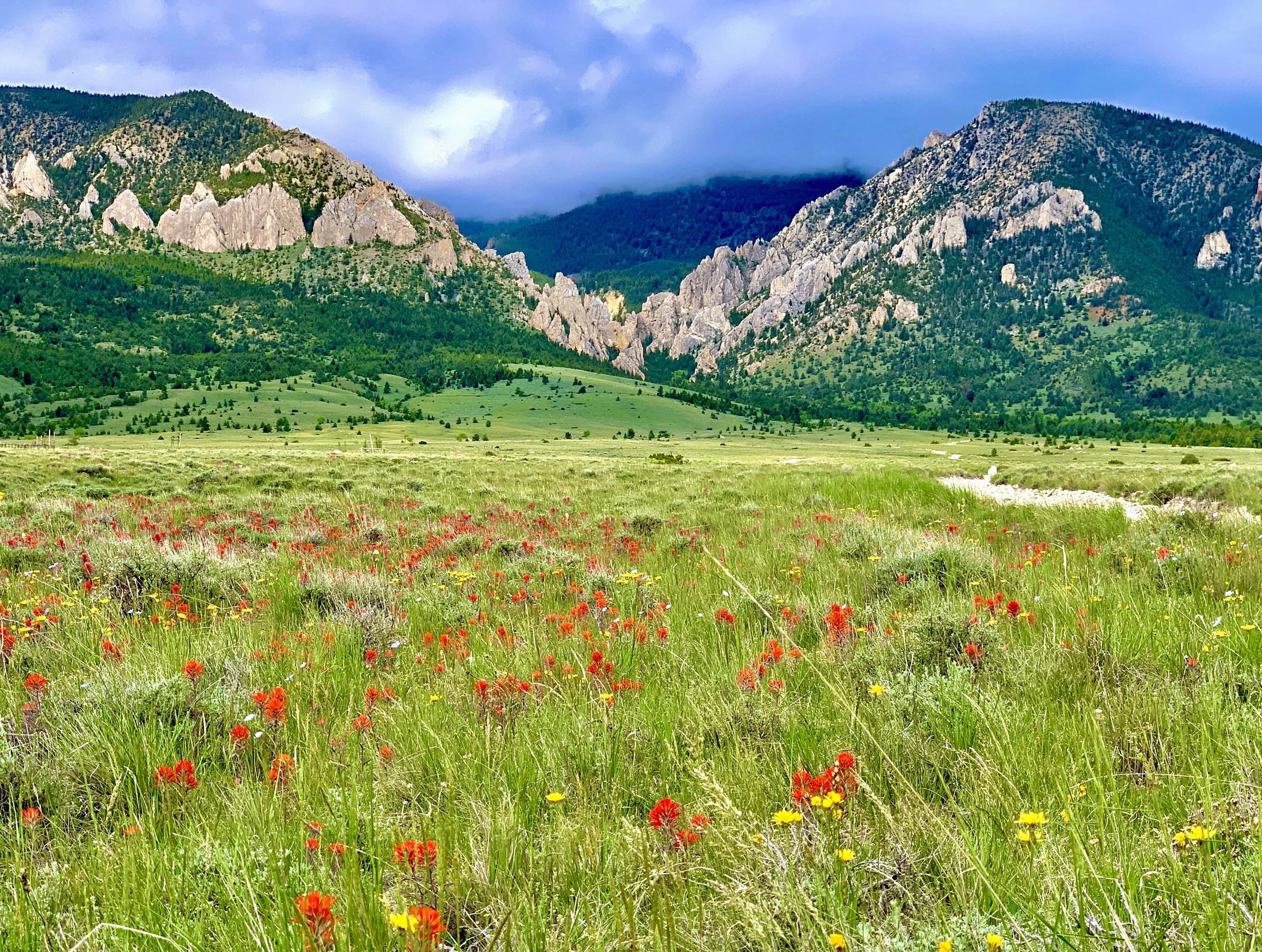 47 Horny Toad Trail South, Belfry, Billings Area, Montana 59008 ...