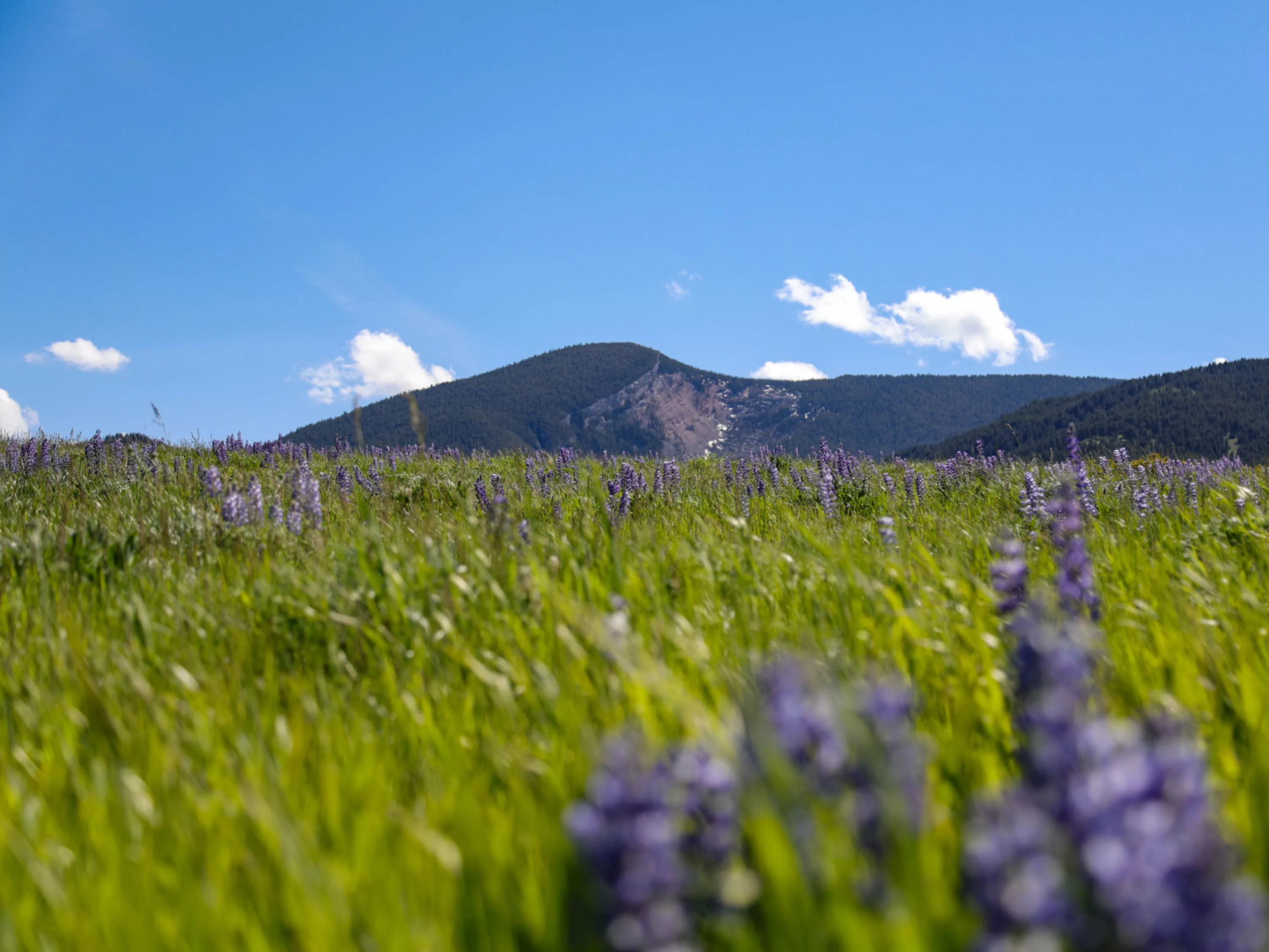 Horsehoe Ranch, Dayton / Sheridan Area, Wyoming | Concierge Auctions