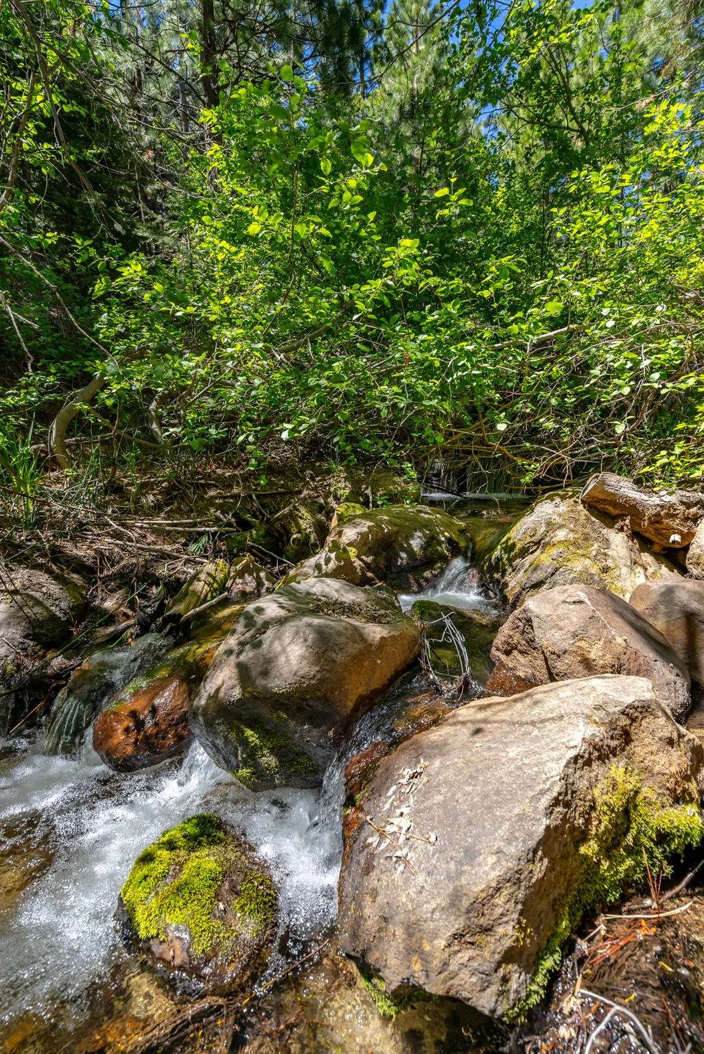 623 Tyner Way, North Lake Tahoe, Incline Village 89451 | Concierge Auctions