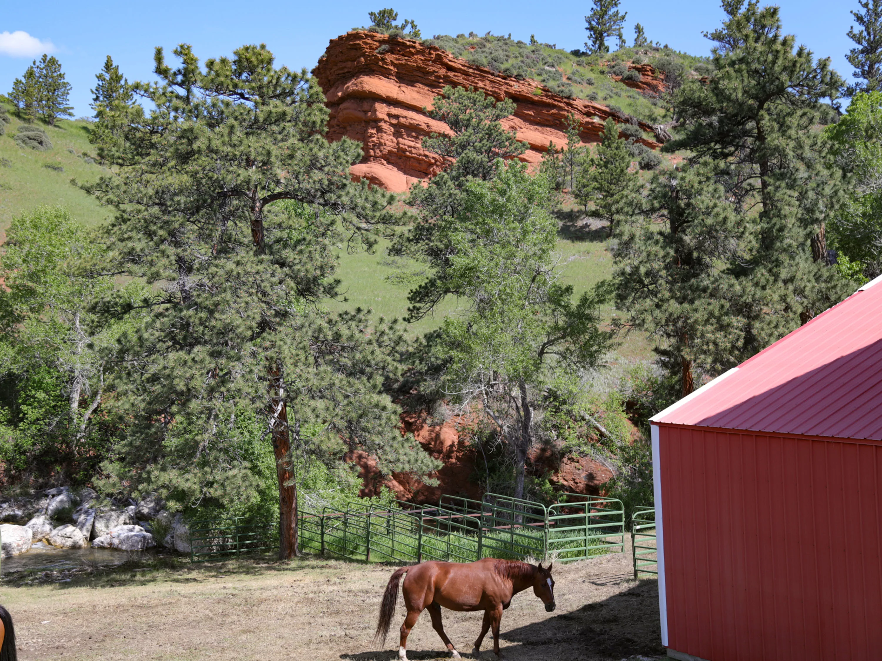 Horsehoe Ranch, Dayton / Sheridan Area, Wyoming | Concierge Auctions