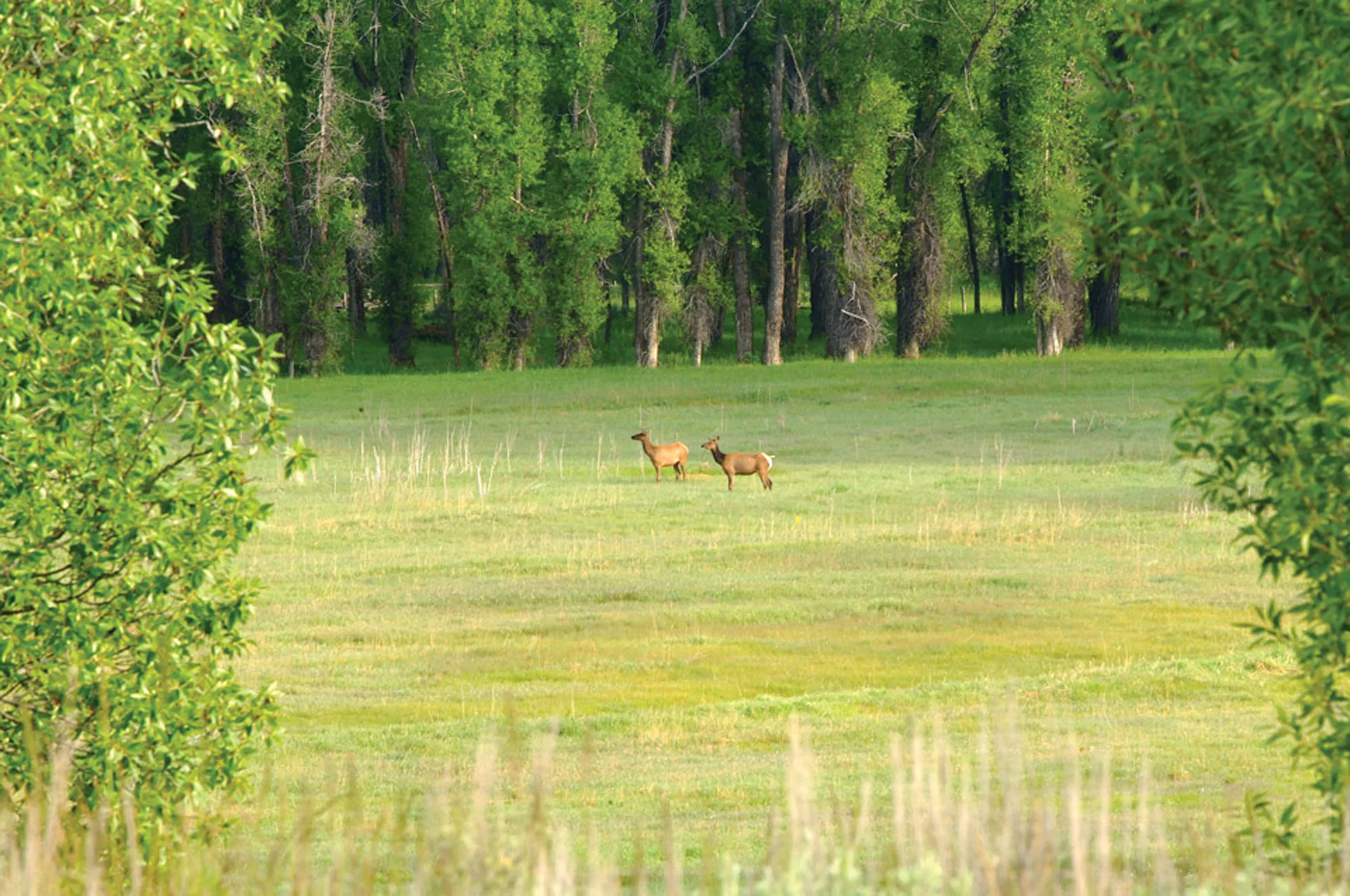 Bar B Bar Ranch Ranch Road, Jackson, Wyoming 83001 | Concierge Auctions