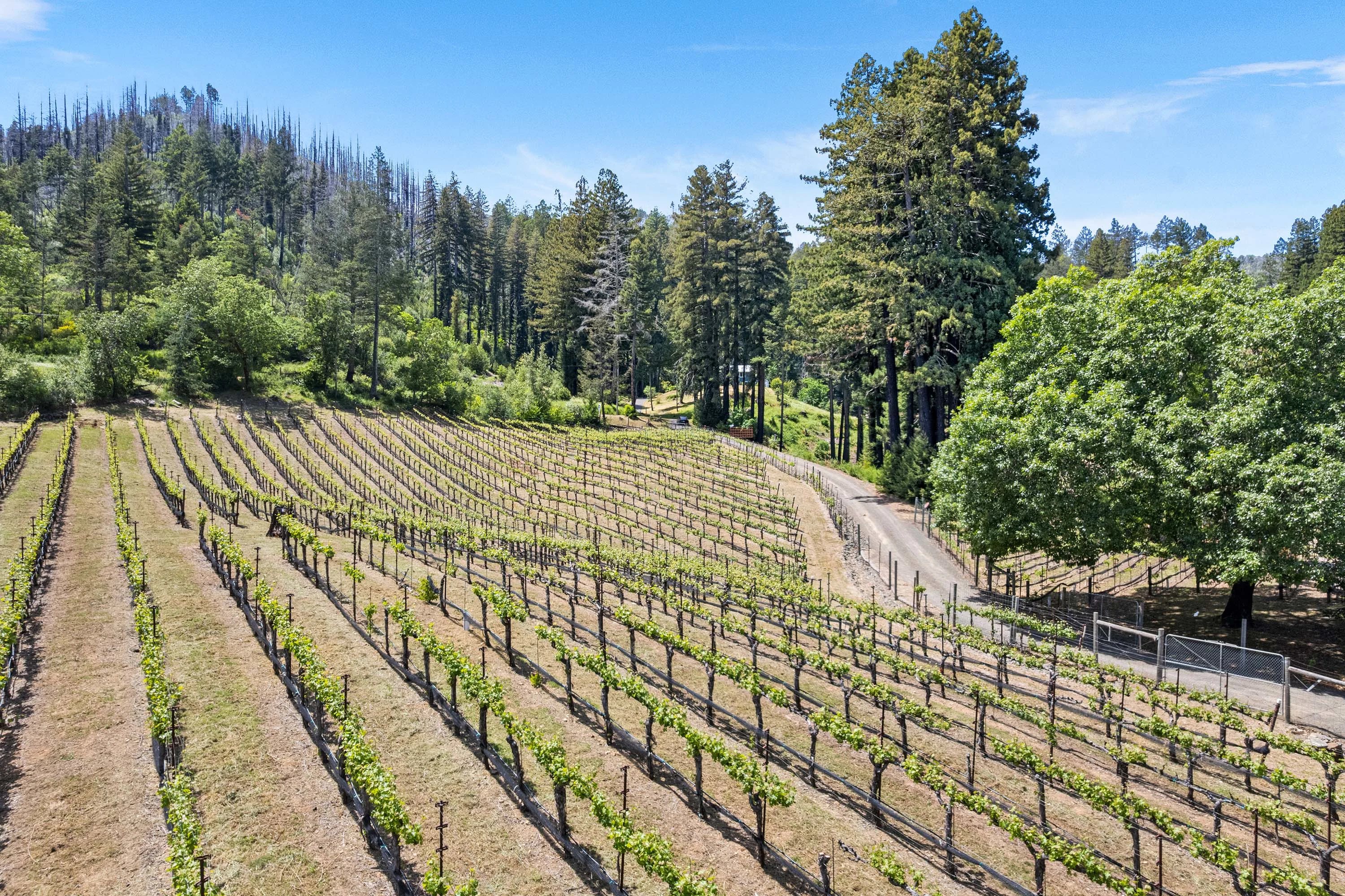 3390 Mount Veeder Road, Mount Veeder, Napa Valley, California 94558 ...