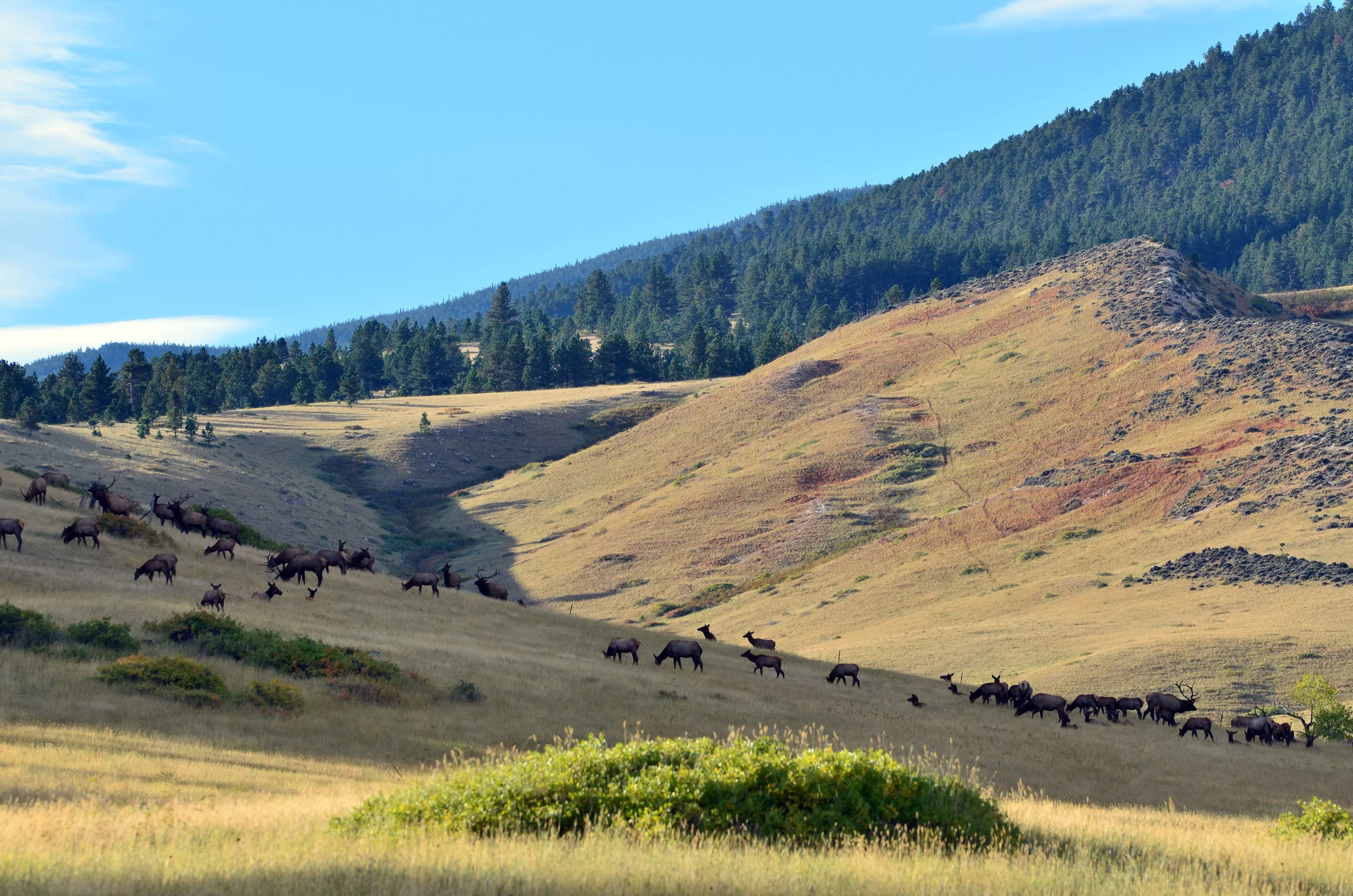 Horsehoe Ranch, Dayton / Sheridan Area, Wyoming | Concierge Auctions