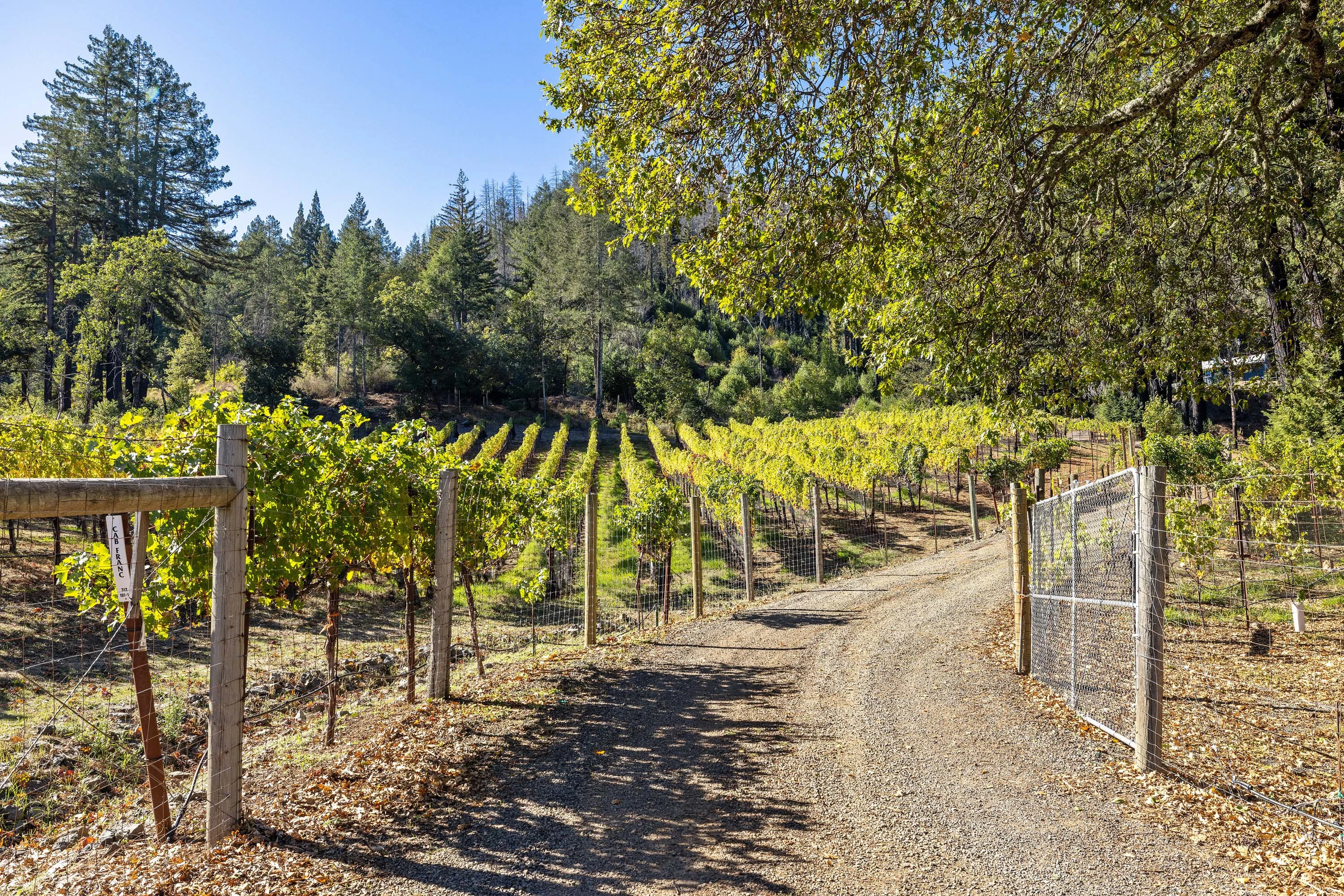 3390 Mount Veeder Road, Mount Veeder, Napa Valley, California 94558 ...
