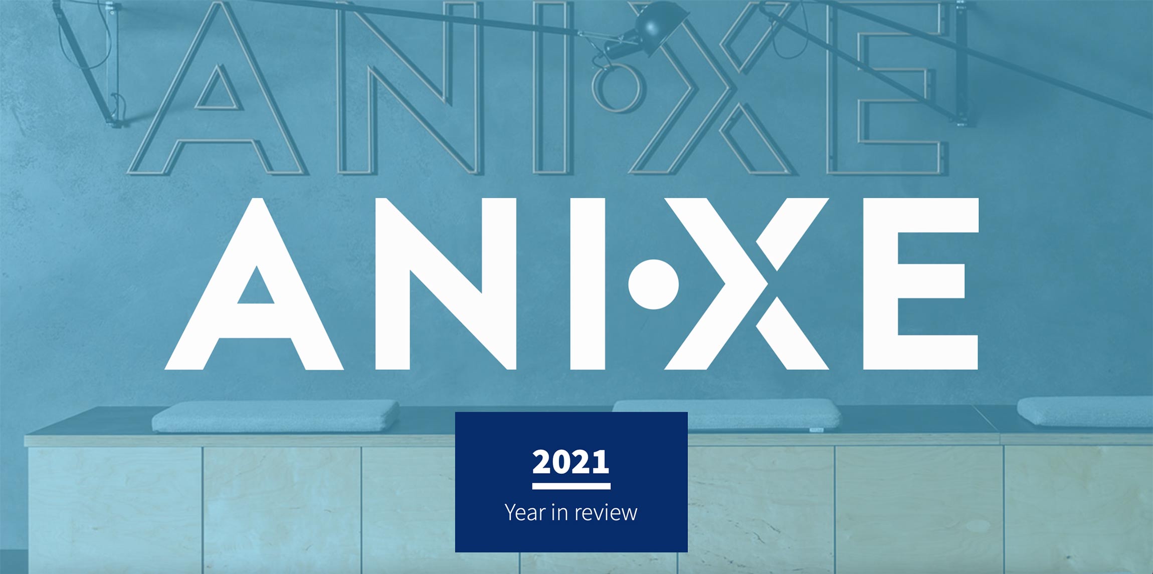 ANIXE in 2021. Long story short | ANIXE