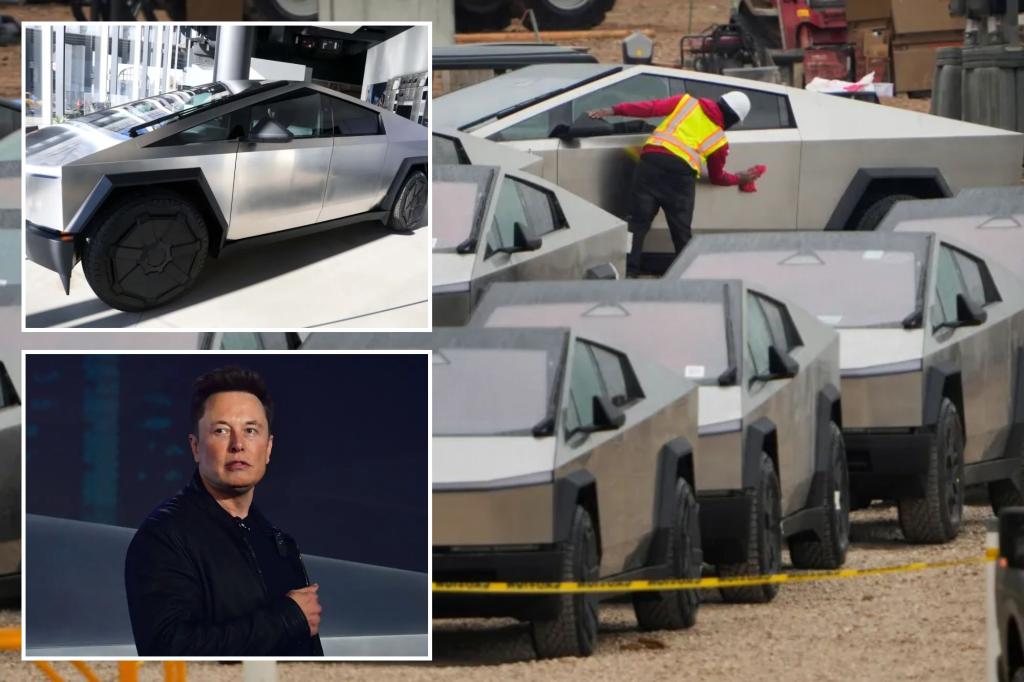 Tesla Cybertruck manual: 'immediately remove' bird poop, dead bugs ...