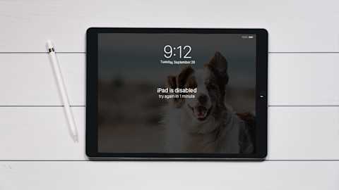 Is your iPad disabled? How to fix it using iTunes or iCloud | Asurion