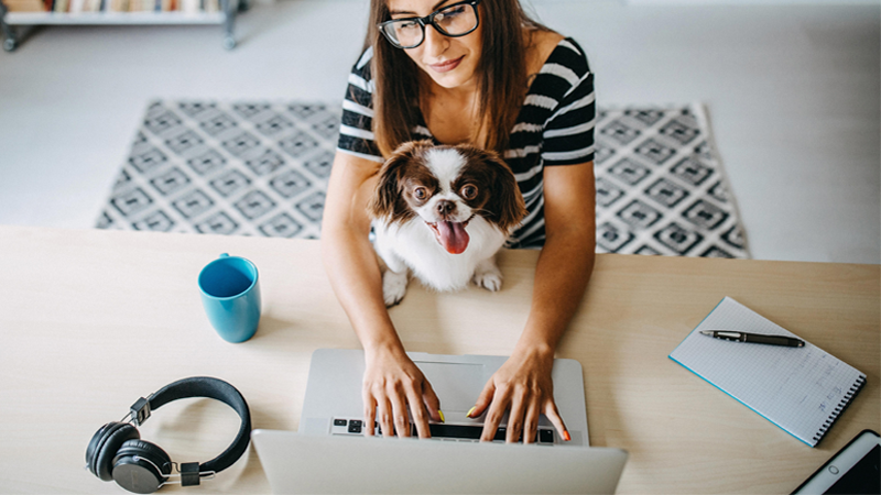 5 best high tech pet products for your smart home | Asurion