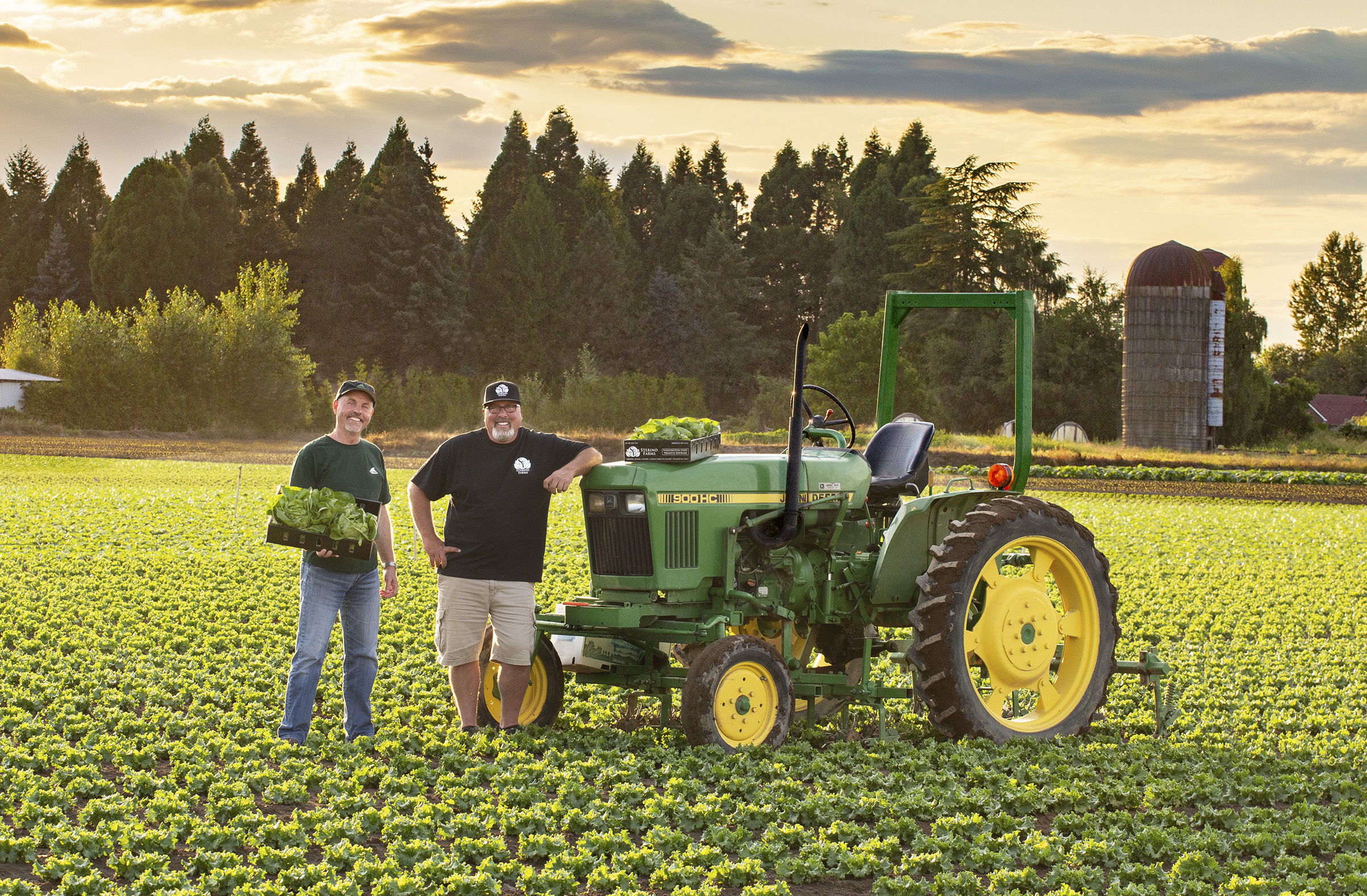 Sterino Farms | Town & Country Markets