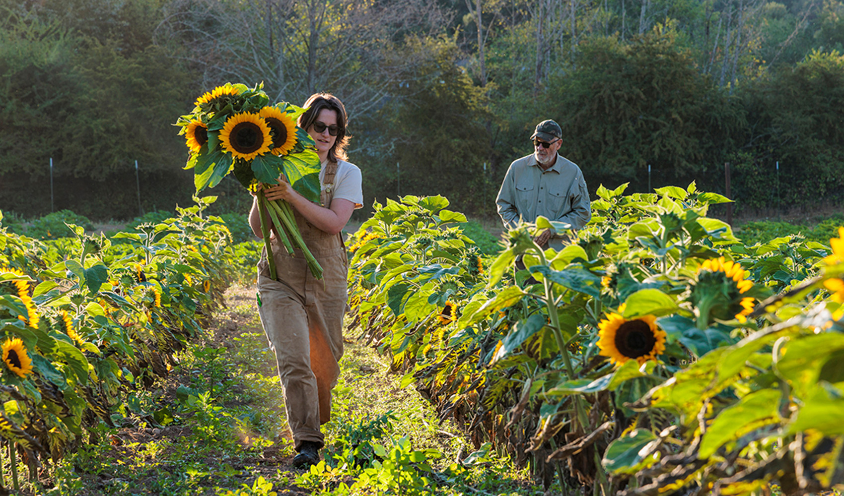 Growing Our Own | Town & Country Markets