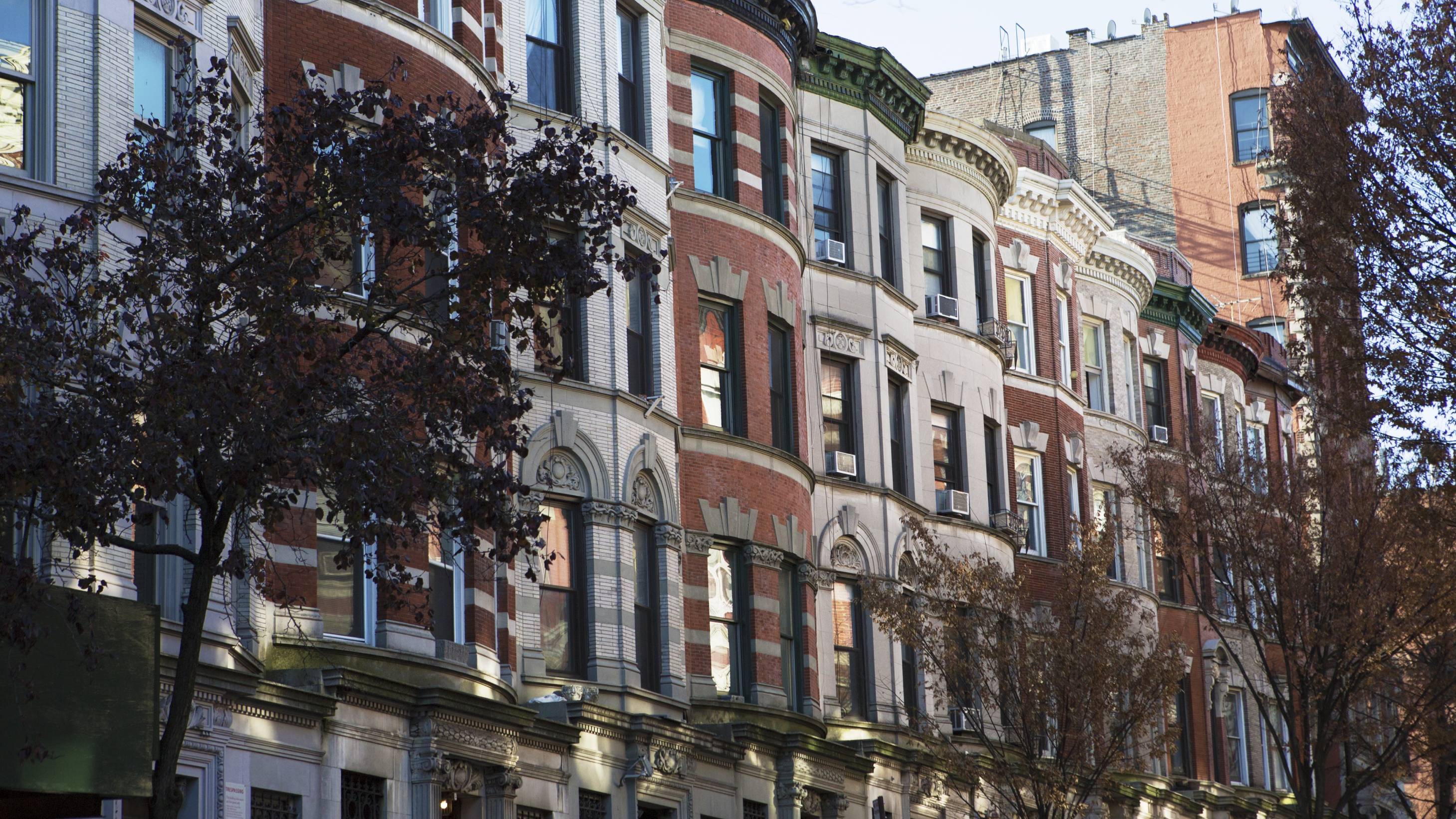 Harlem Celebrates 100 Years of Arts and Culture | Stay Updated on NYC ...