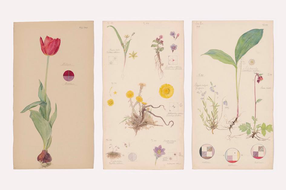 Hilma af Klint: What Stands Behind the Flowers 2025- | Midtown West ...