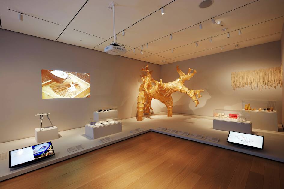 MoMA’s Paola Antonelli on NYC’s Art World