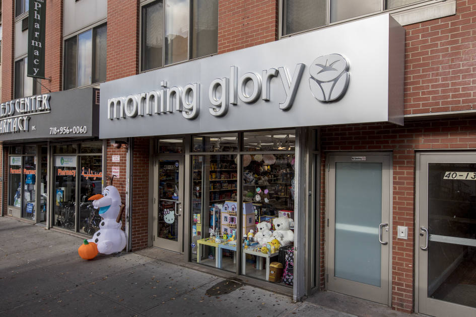 Morning Glory | Shopping