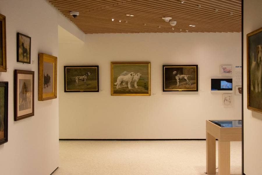 Guide to the AKC Museum of the Dog in NYC