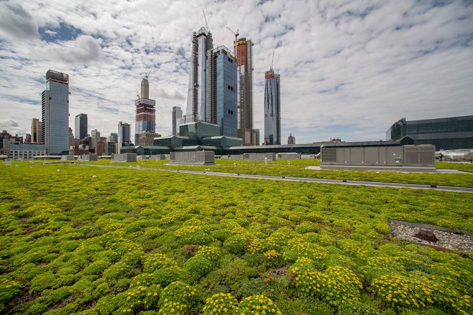 Strategies to Reduce Your Event’s Ecological Footprint | Learn About ...