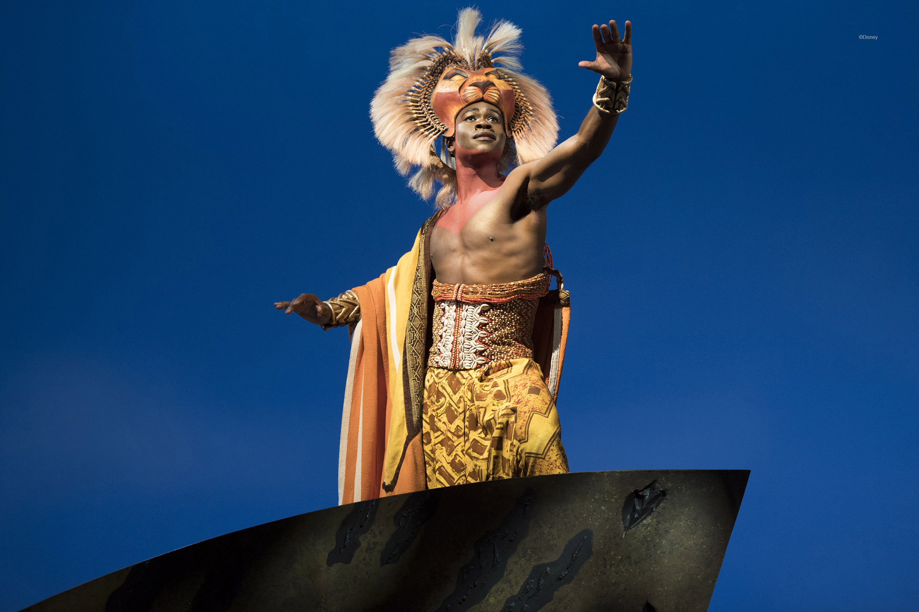 Q&A with Bradley Gibson, Simba in The Lion King | Read About The Latest ...