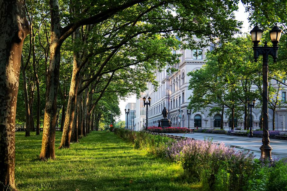Green NYC Discover Itinerary in New York City