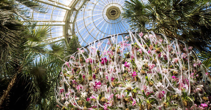 Spectacle d’orchidées à New York